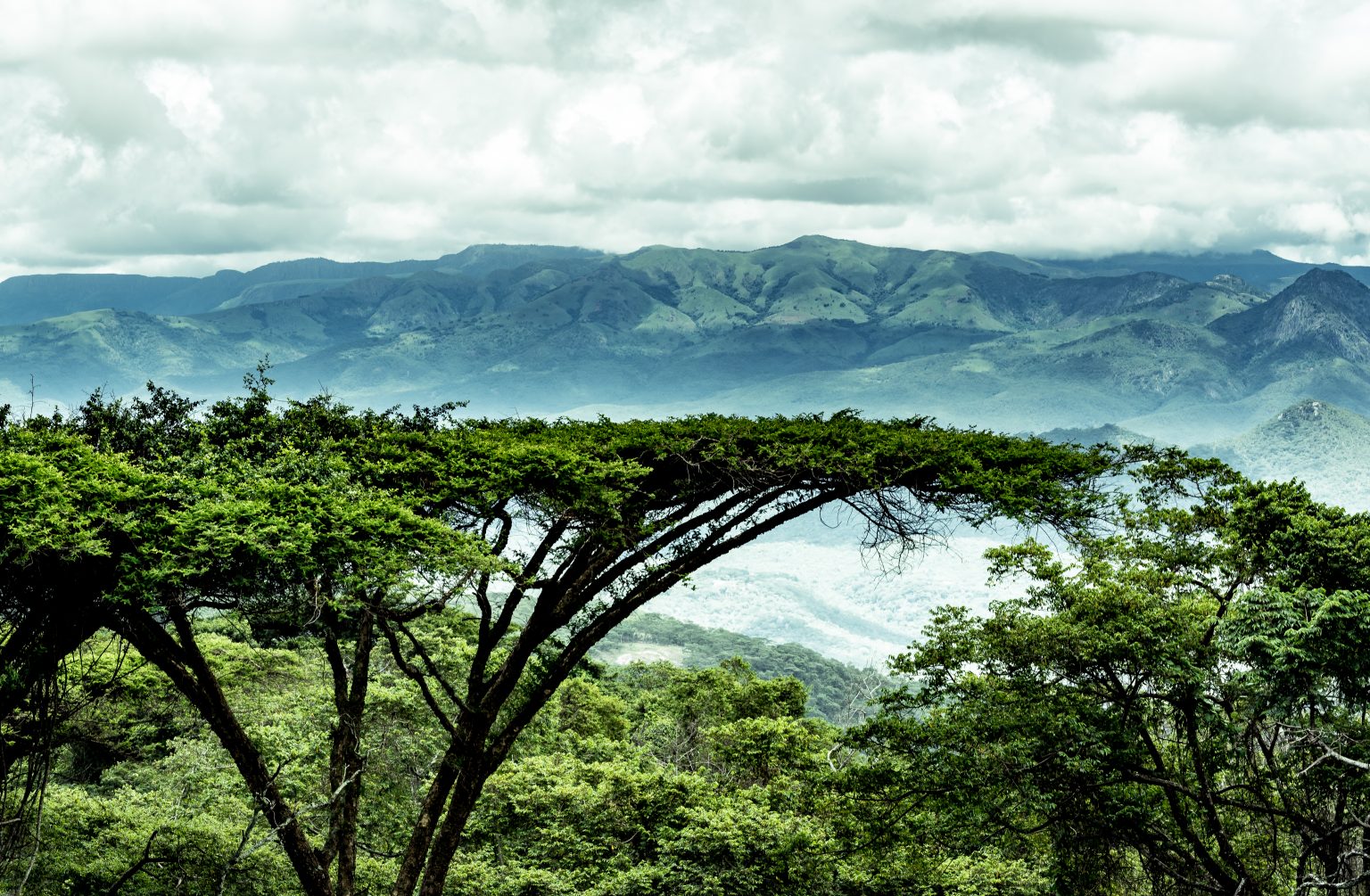 About Vumba – Visit Vumba